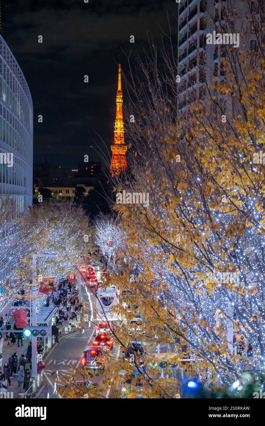 Tokyo, Japan - 14 December 2024 - View of Tokyo Tower at night seen ...