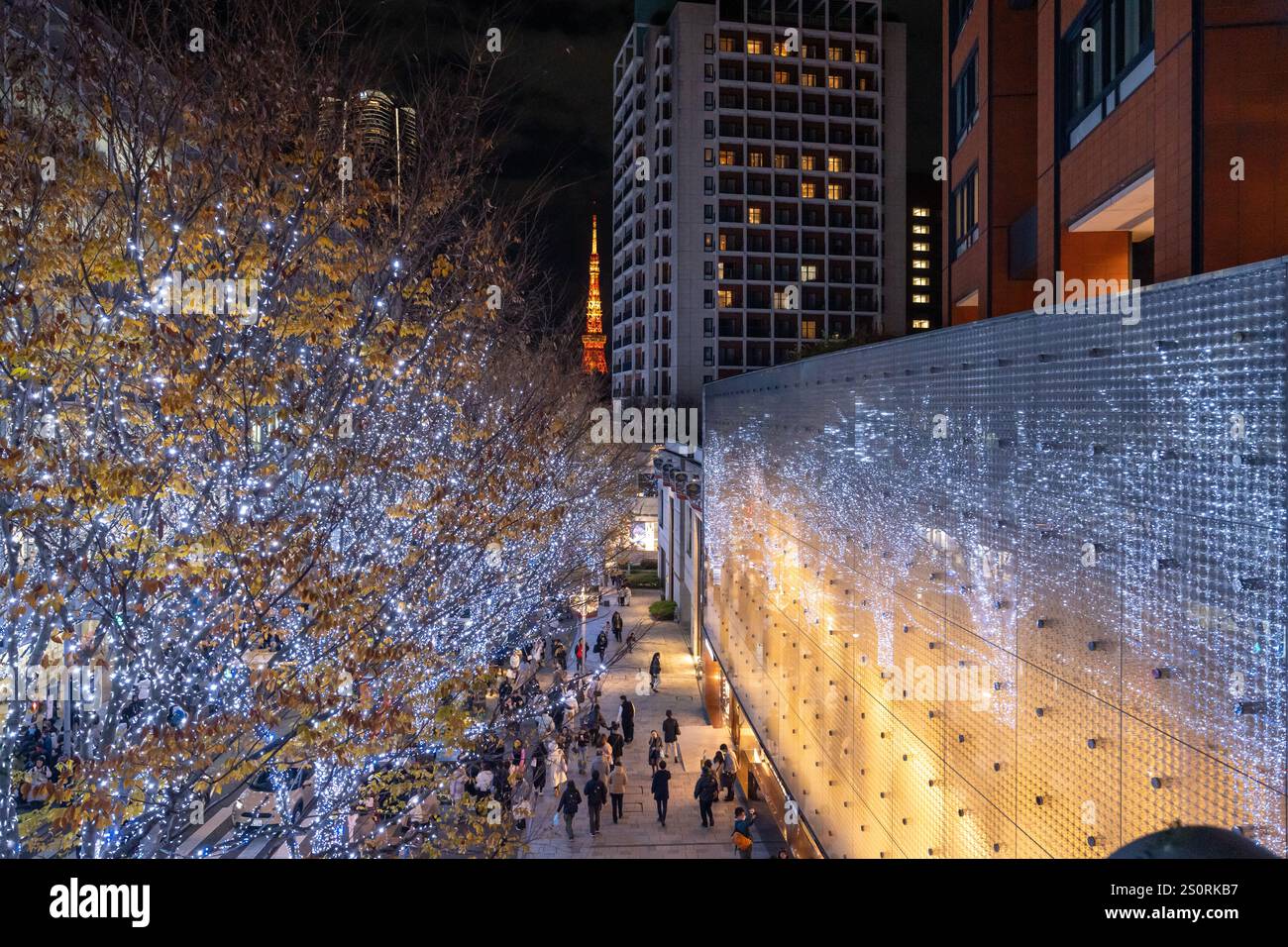 Tokyo, Japan - 14 December 2024 - View of Tokyo Tower at night seen ...