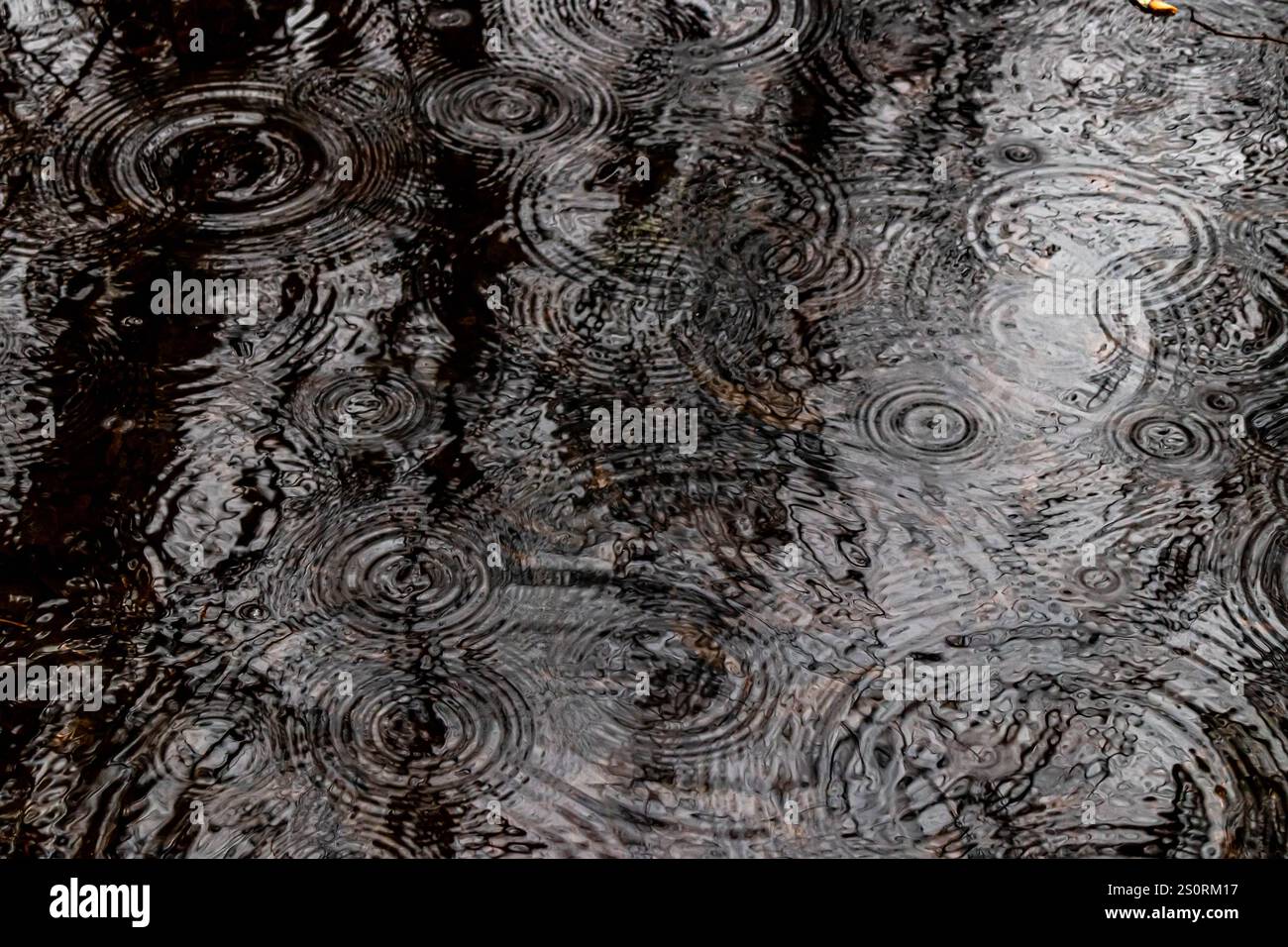 Big raindrops splashing on water, making big circles with reflection of ...