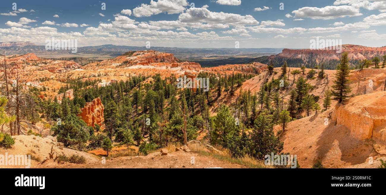 Panoramic view over the Bryce Canyon National Park, Utah Stock Photo ...