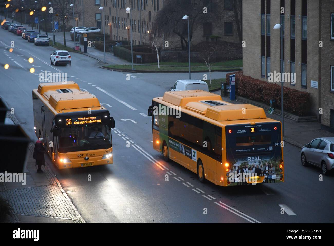 Copenhagen/ DenmarK/29 december 2024/Denmakrs public bus system runs on ...