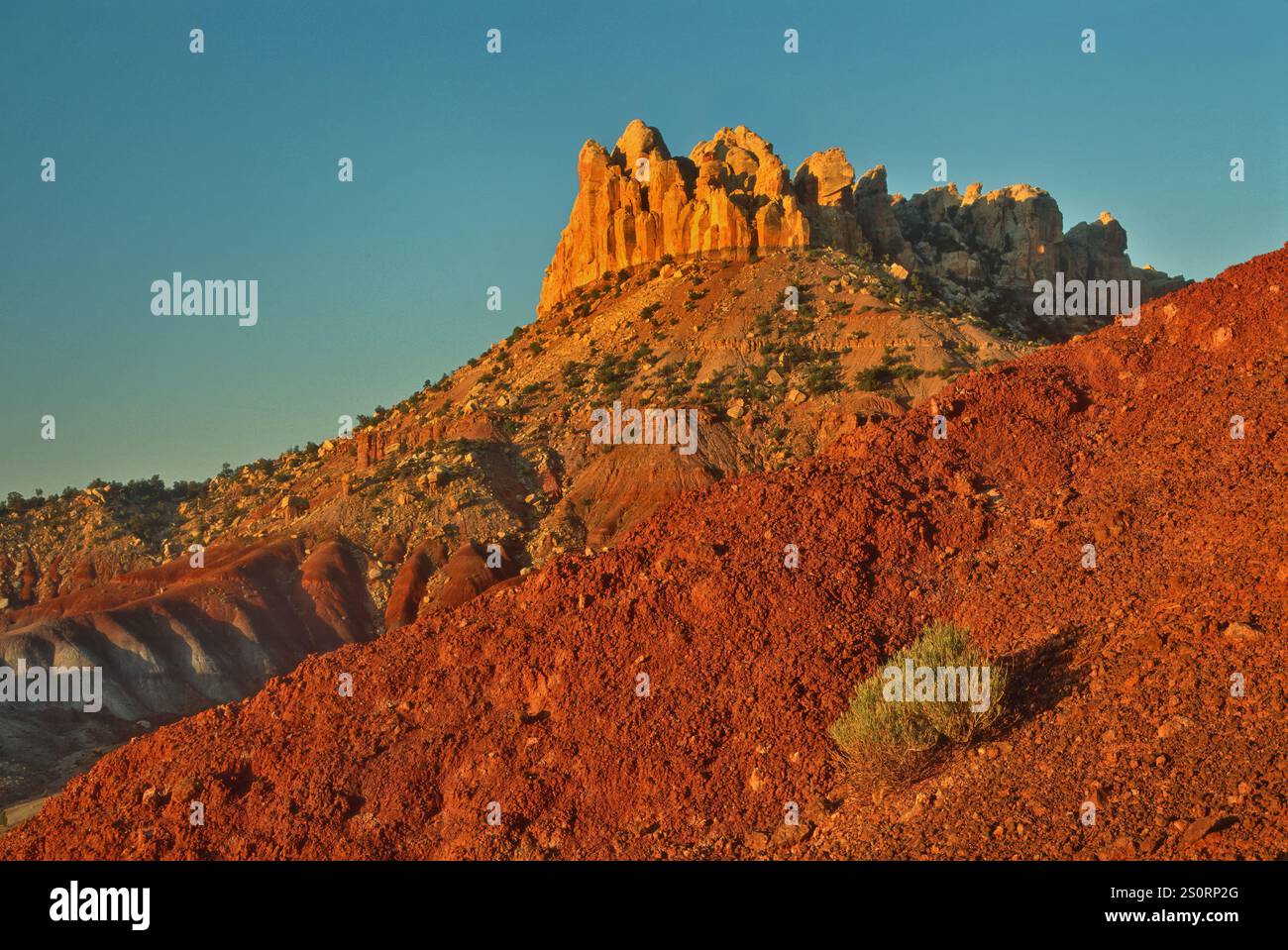 King Bench at Circle Cliffs, view at sunrise from Burr Trail Road ...
