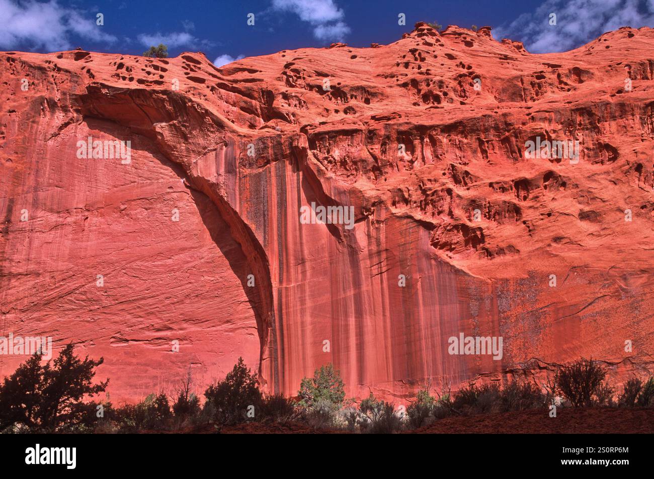 Eroded canyon walls, Long Canyon, Burr Trail Road, near Deer Creek ...