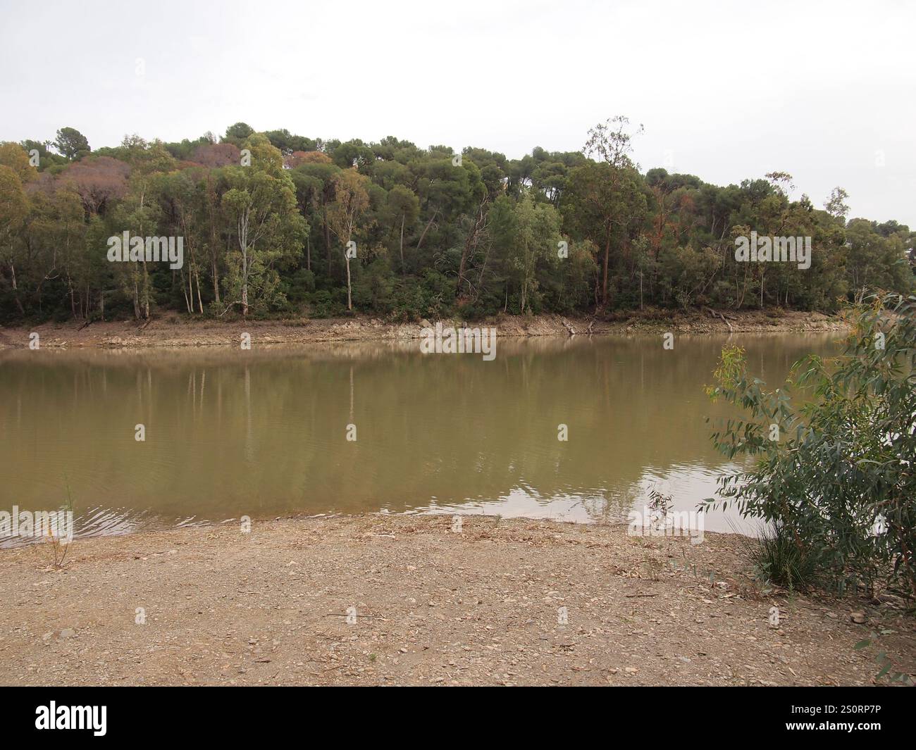 Lago de tortugas marbella hi-res stock photography and images - Alamy