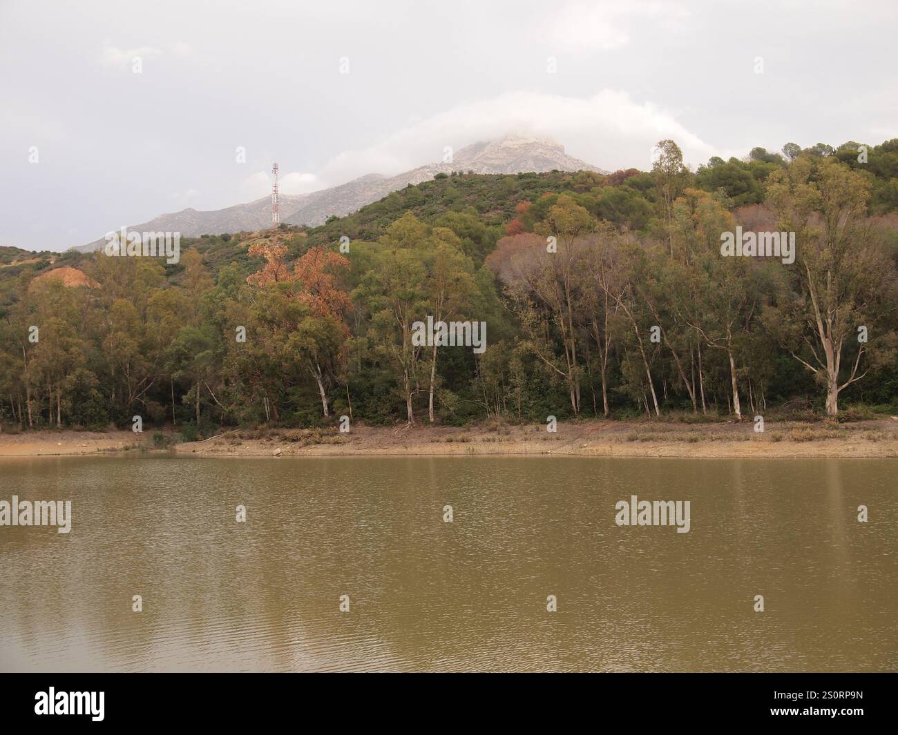 Lago de tortugas marbella hi-res stock photography and images - Alamy