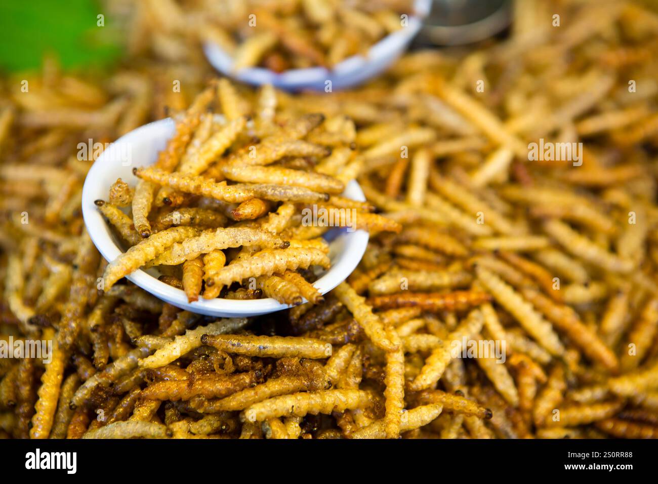 Edible bugs and insects located in a market in Thailand. Many people in ...