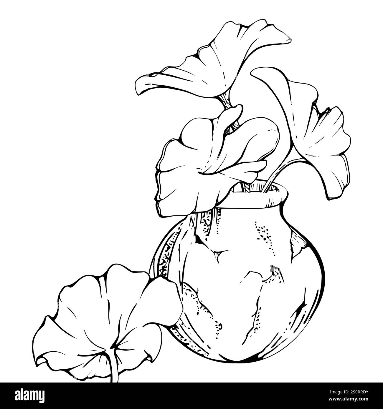 Nature tropical exotic lotus house plant in ceramic terracotta pot ...