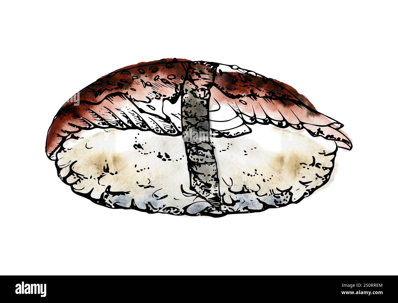 Traditional Japanese food, nigiri sushi with raw fish unagi saba ...