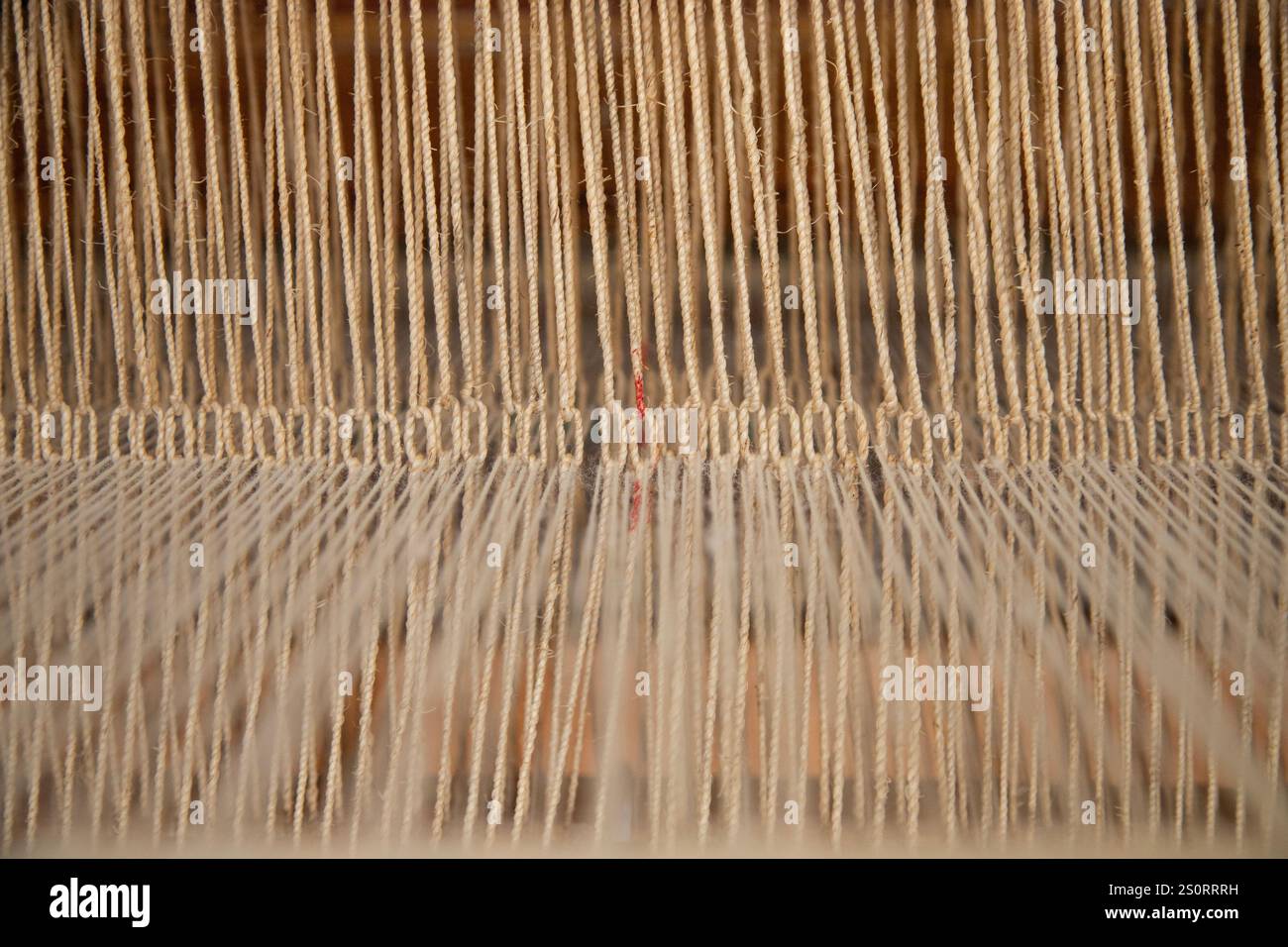 Atelier and machinery for the artisanal production of Mexican rugs in ...