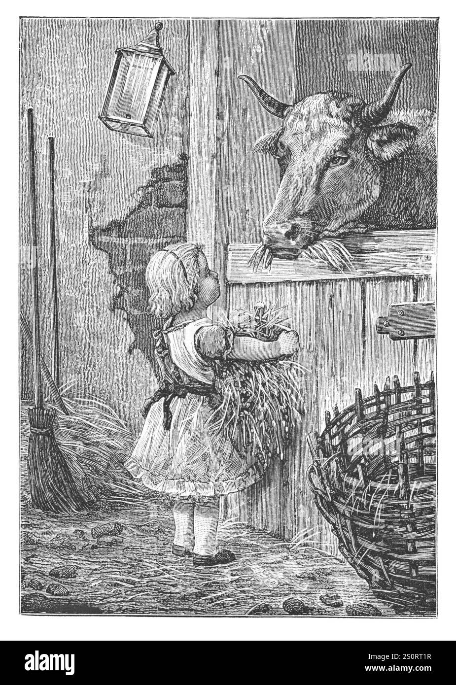 RUSSIA - CIRCA 1902: Illustration taken from an original book "Lecons ...