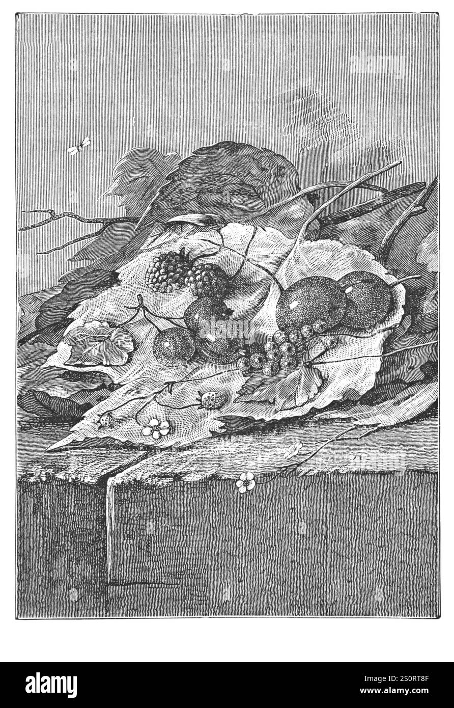 RUSSIA - CIRCA 1902: Illustration taken from a book "Lecons de causerie ...