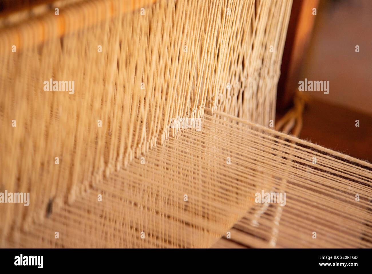 Atelier and machinery for the artisanal production of Mexican rugs in ...