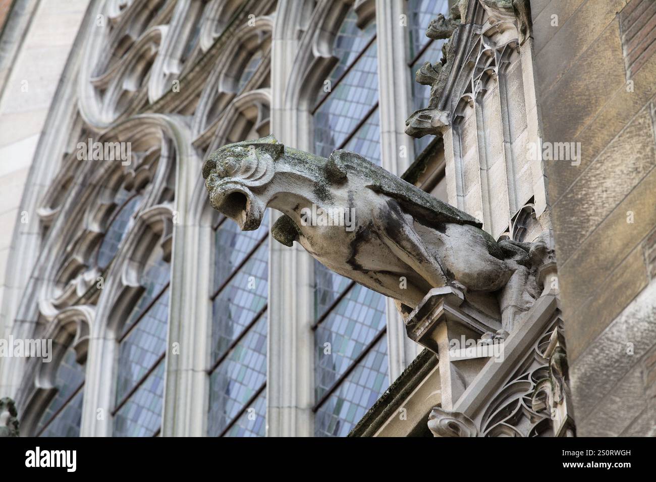 A dramatic stone gargoyle watches over Toulouse, reflecting the rich ...