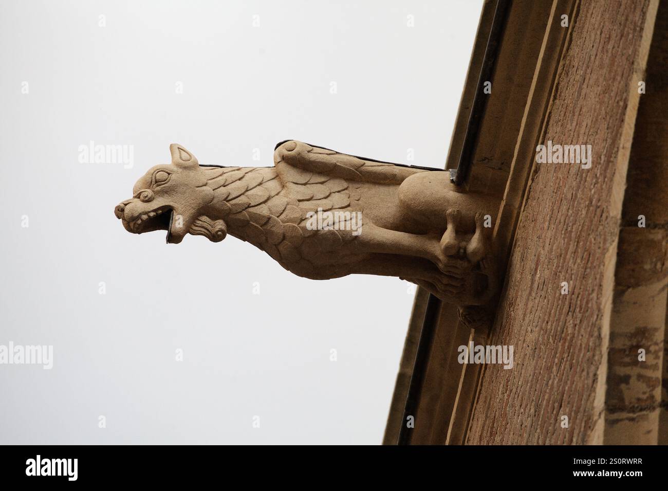 A dramatic stone gargoyle watches over Toulouse, reflecting the rich ...