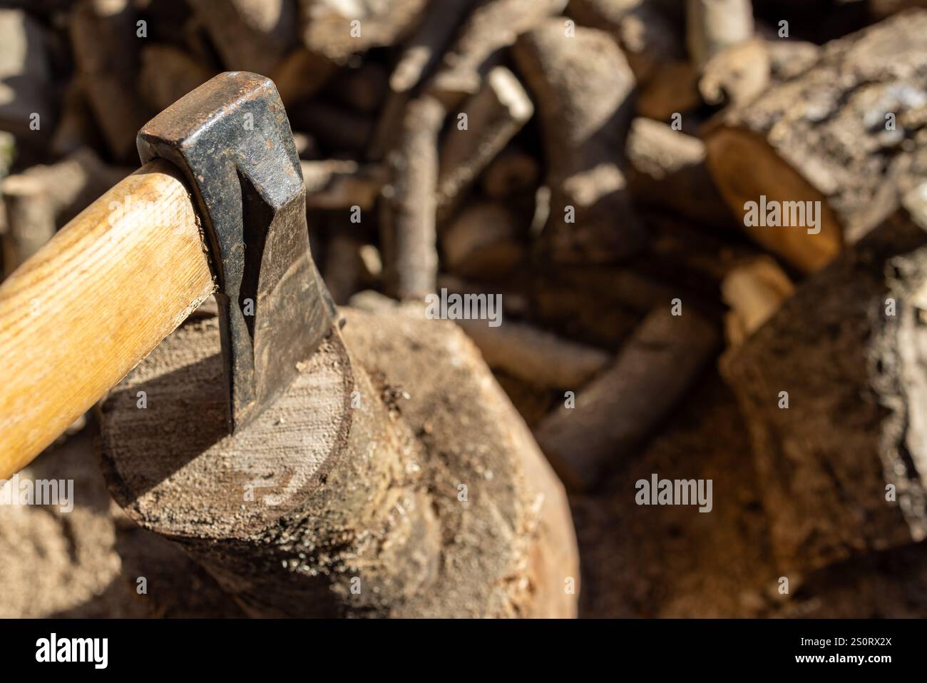 Close-Up of an Axe Embedded in a Tree Stump with Firewood in the ...