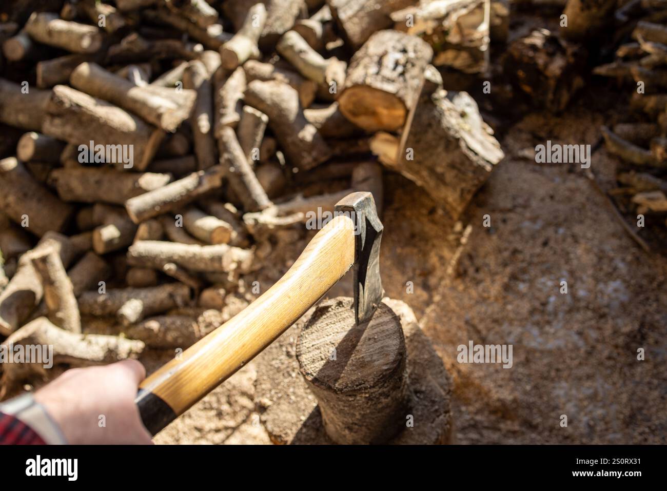 A close-up of a person holding an axe while splitting a log on a tree ...