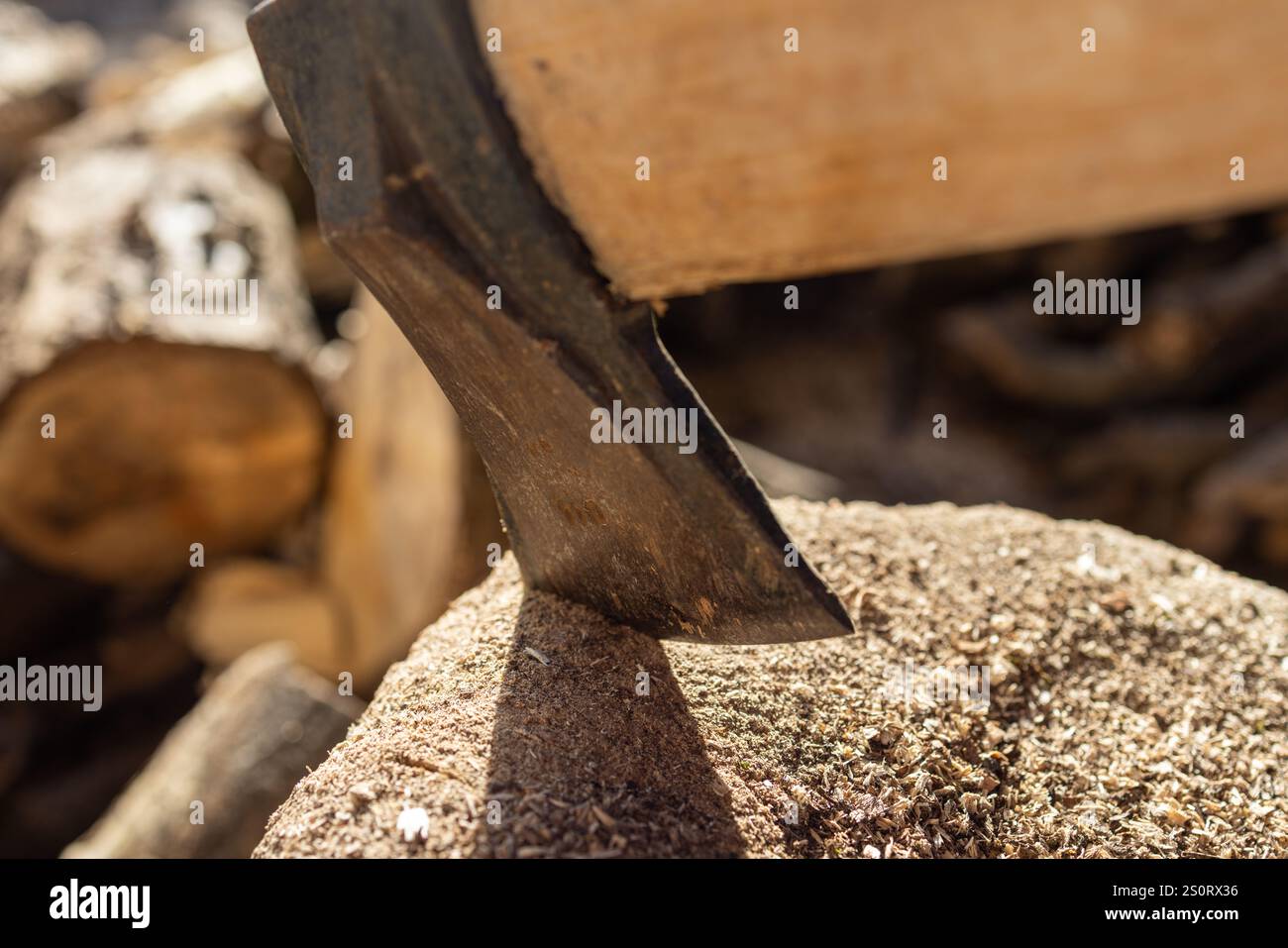 Axe Embedded in a Tree Stump During Firewood Chopping Stock Photo - Alamy