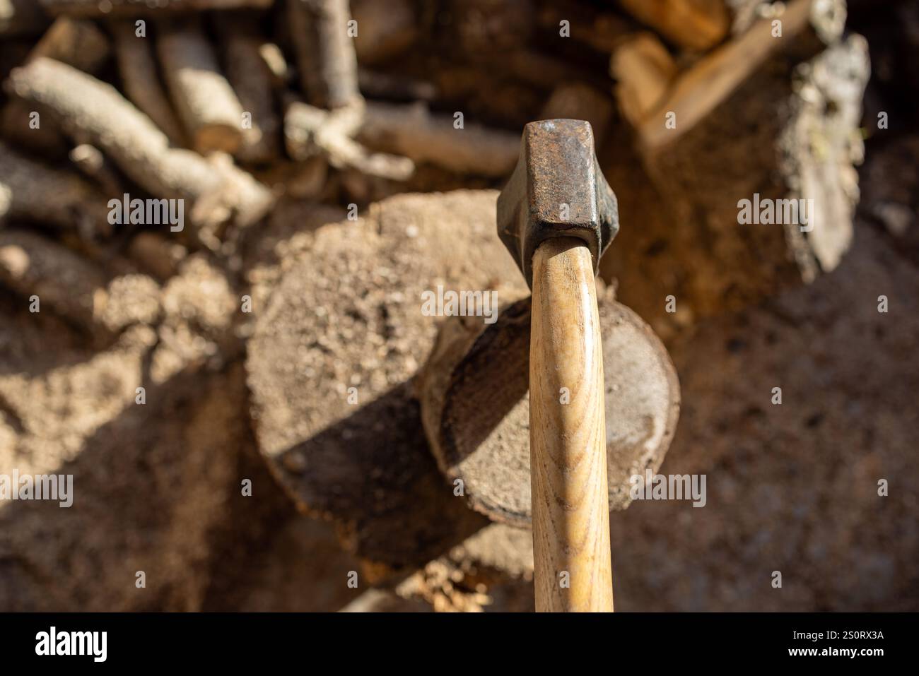 Top-Down View of an Axe in a Tree Stump for Firewood Chopping Stock ...