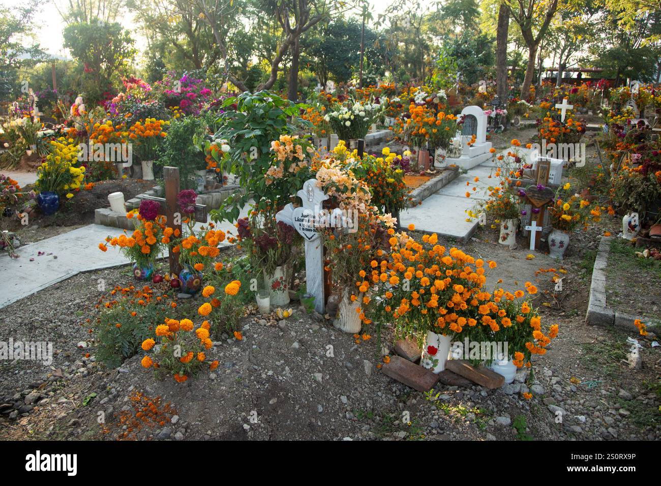 Teotitlan del Valle, Oaxaca Mexico; November 1st 2024: Cemetery of an ...
