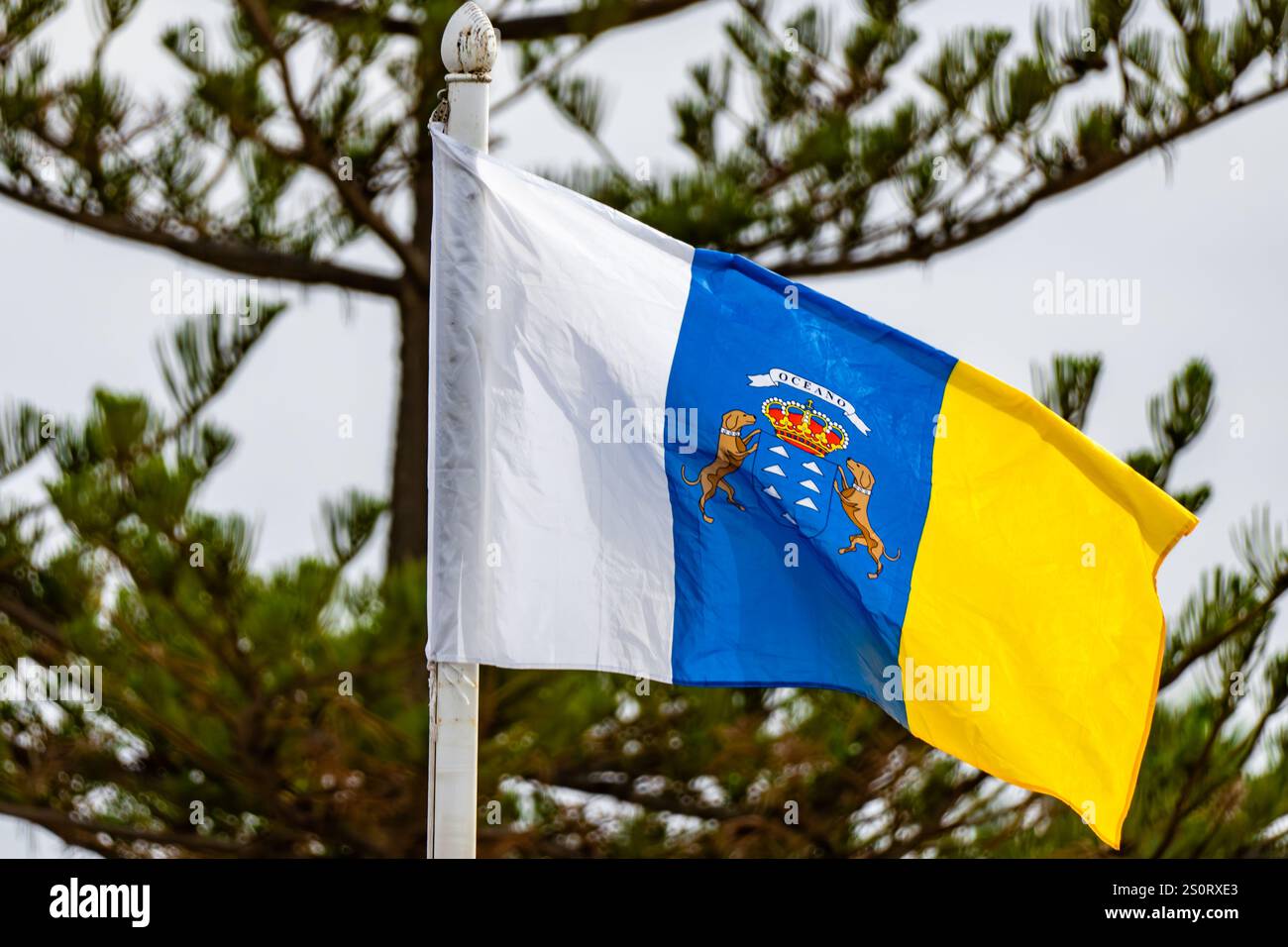 The Flag of the Canary Islands Stock Photo - Alamy