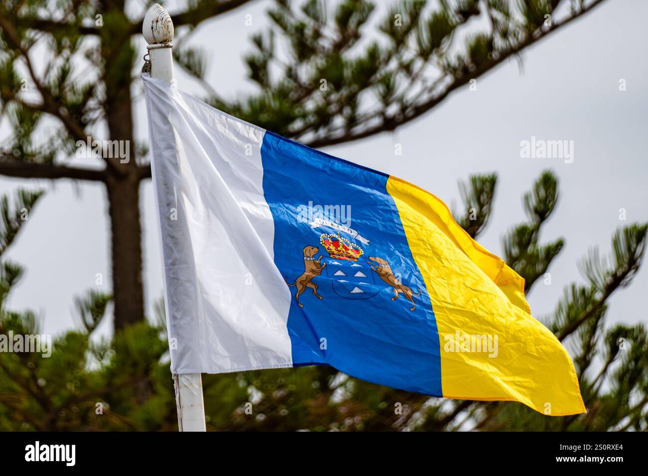 The Flag of the Canary Islands Stock Photo - Alamy
