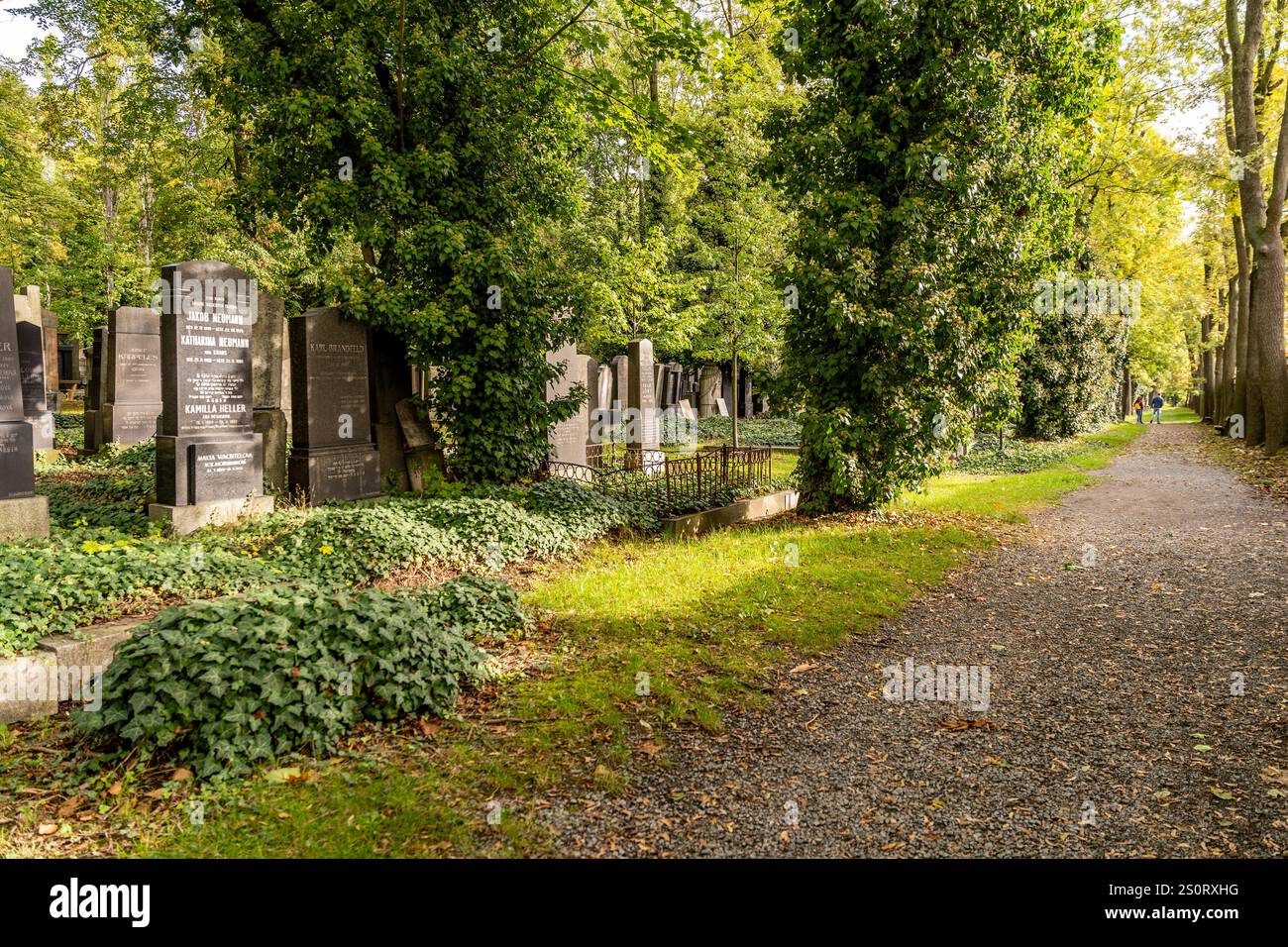 The New Jewish Cemetery in Zizkov district, Prague, Czechia, where ...