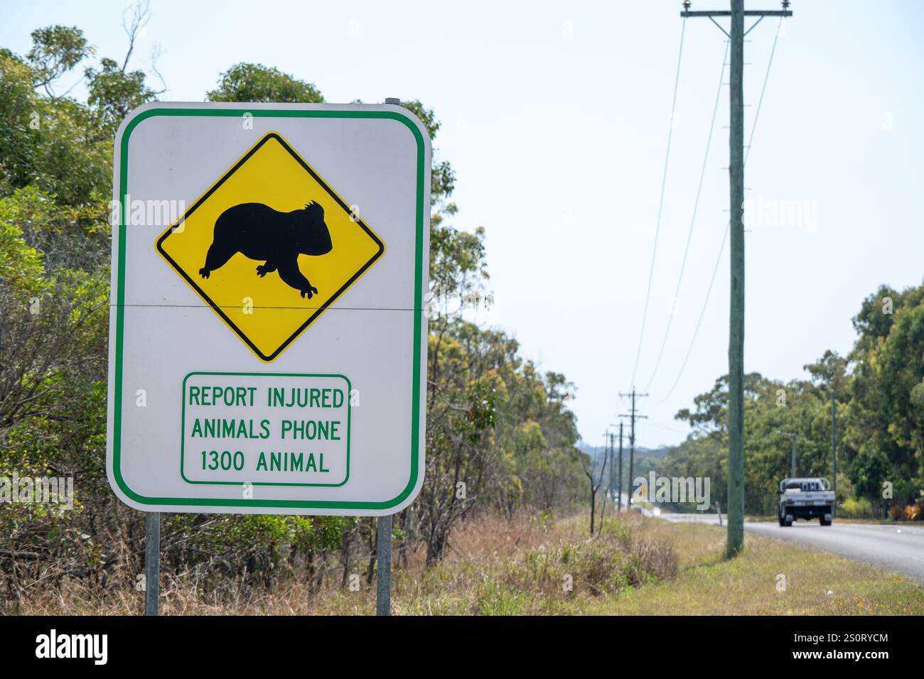 Wildlife rescue road sign, Australia koala, injured animals protection ...