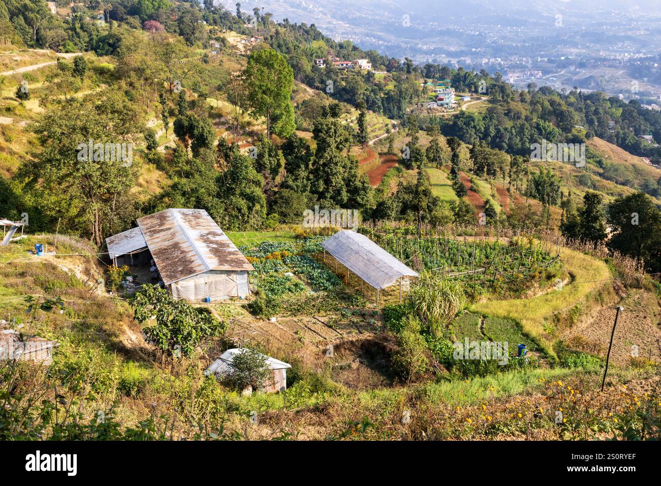 Farming, Himalayan Foothills, Kathmandu Valley, Nepal, Asia Stock Photo ...