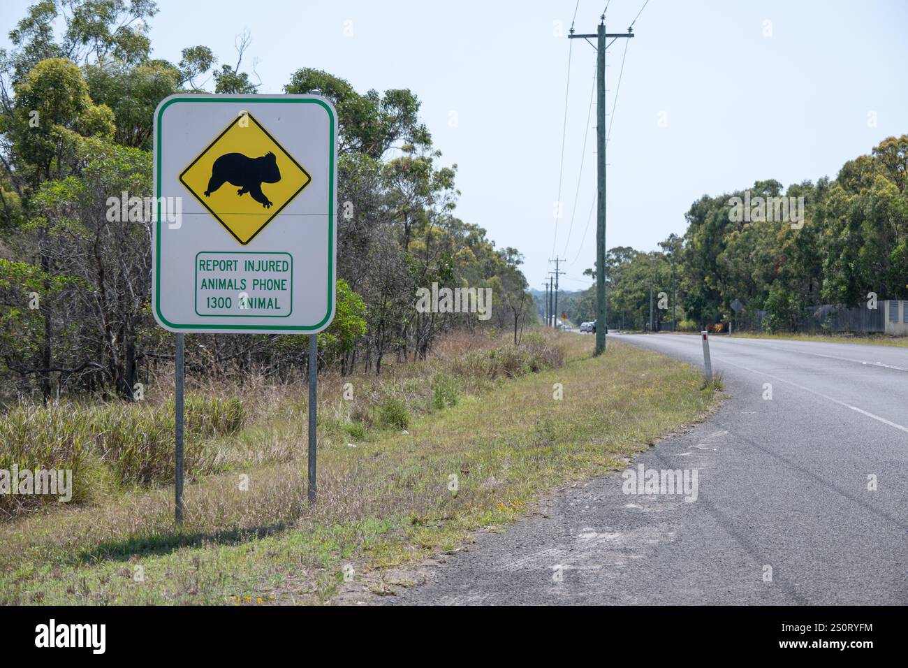 Wildlife rescue road sign, Australia koala, injured animals protection ...