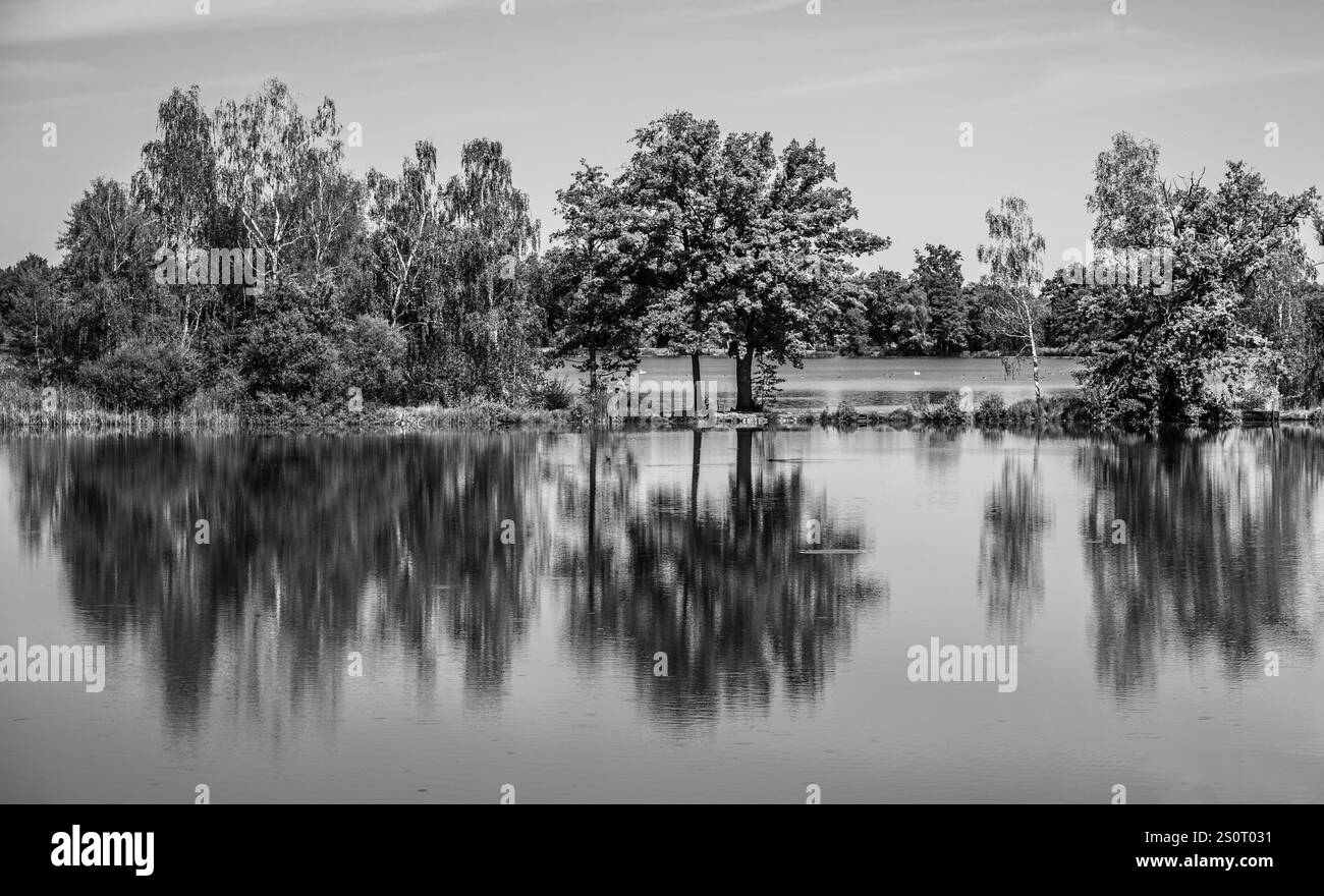 Under a clear Black and White Stock Photos & Images - Alamy