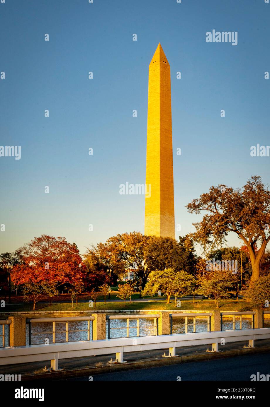 The Washington Monument stands tall against a clear sky, surrounded by ...