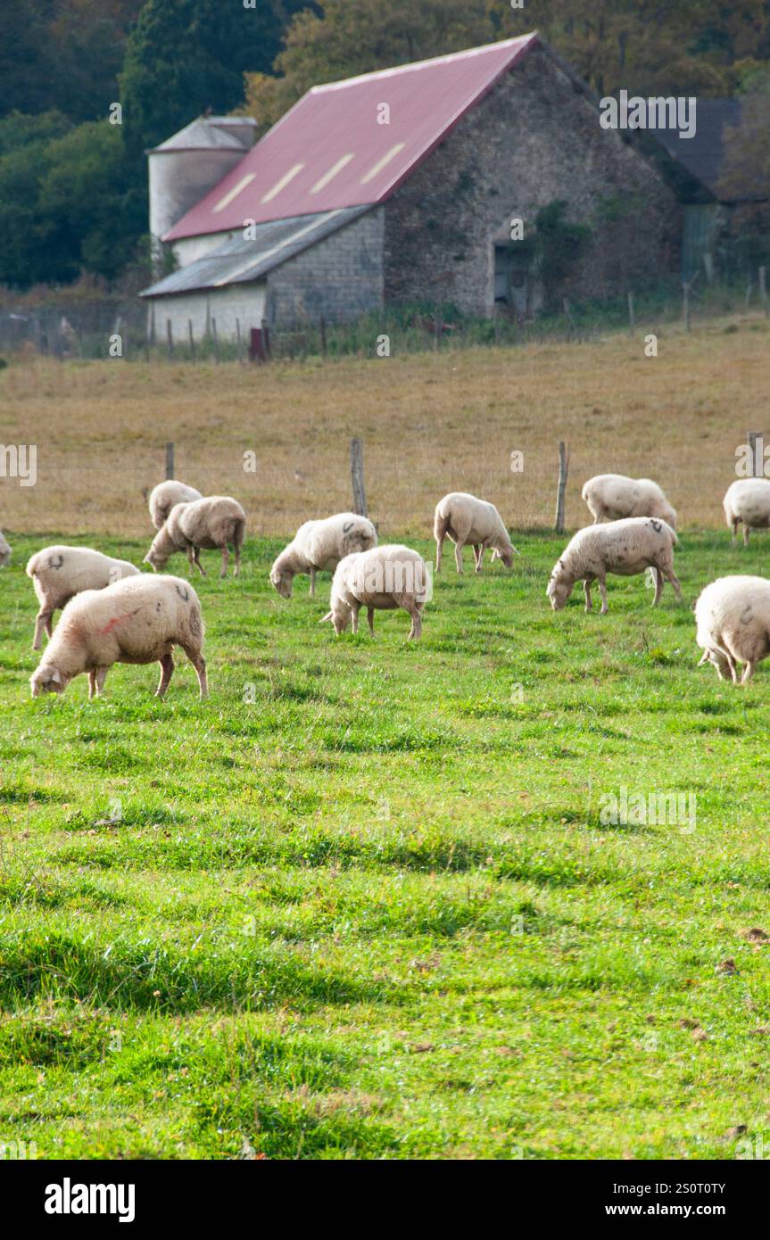 Garralda rural landscapes. Aezkoa Valley, Navarre, Spain Stock Photo ...