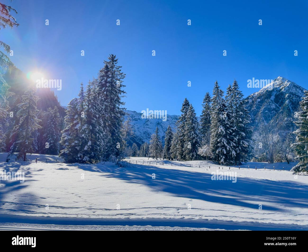 Cross-country ski trail in Pertisau am Achensee Stock Photo - Alamy