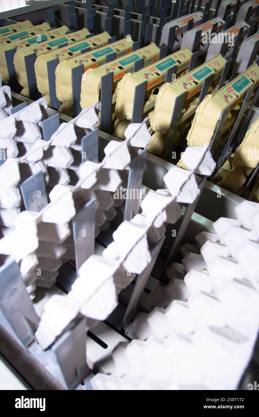 Poultry farming. Eggs production in Samper de Calanda. Teruel. Aragón ...
