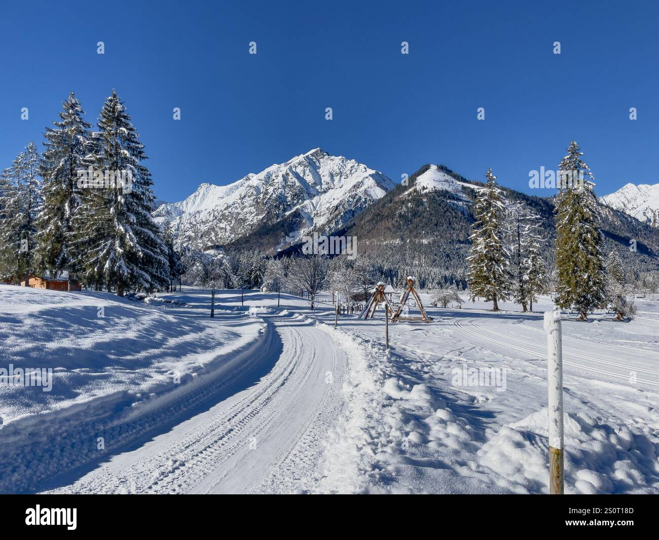Cross-country ski trail in Pertisau am Achensee Stock Photo - Alamy