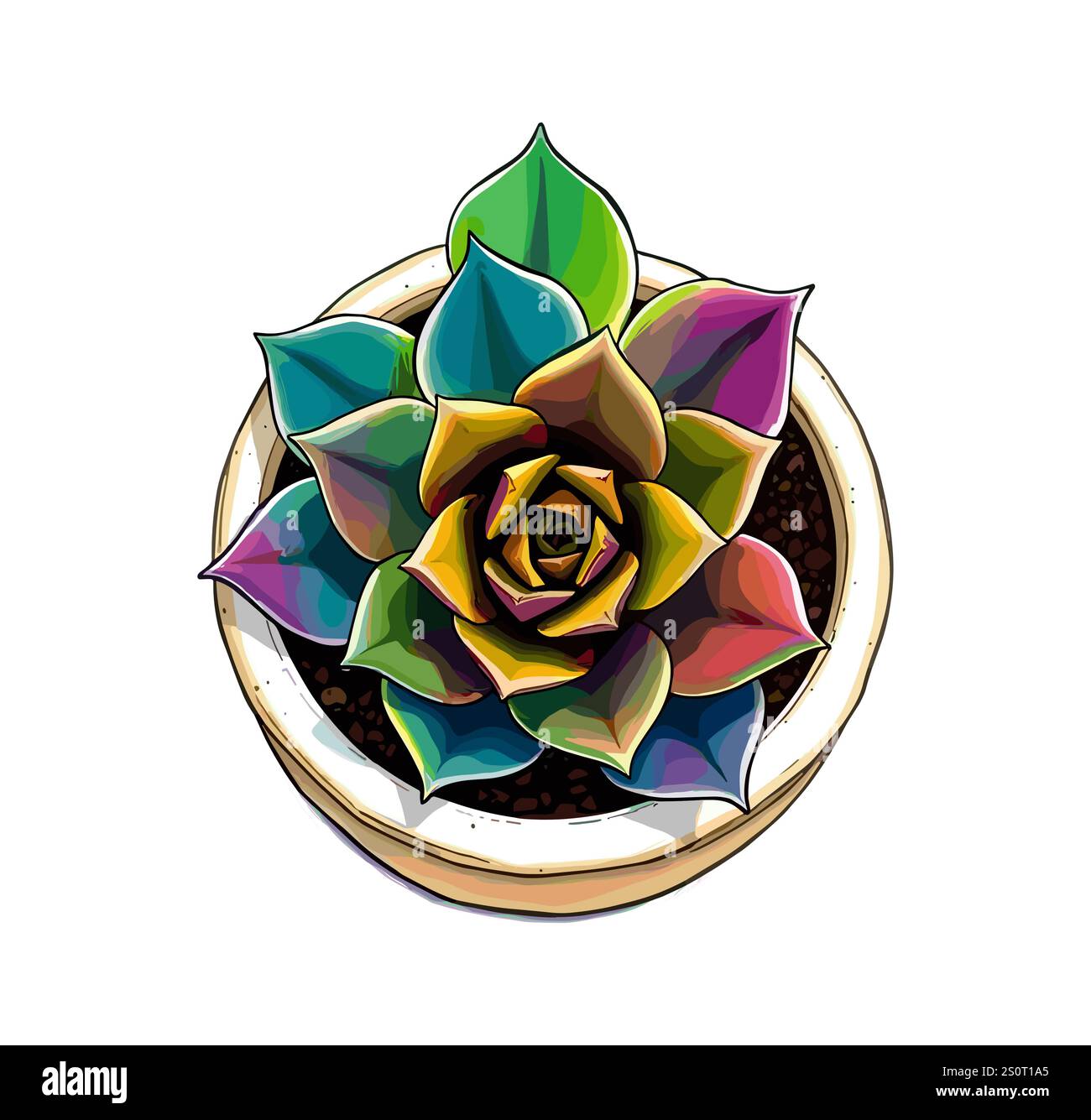 Potted house plant colorful sketch top view Stock Vector Image & Art ...