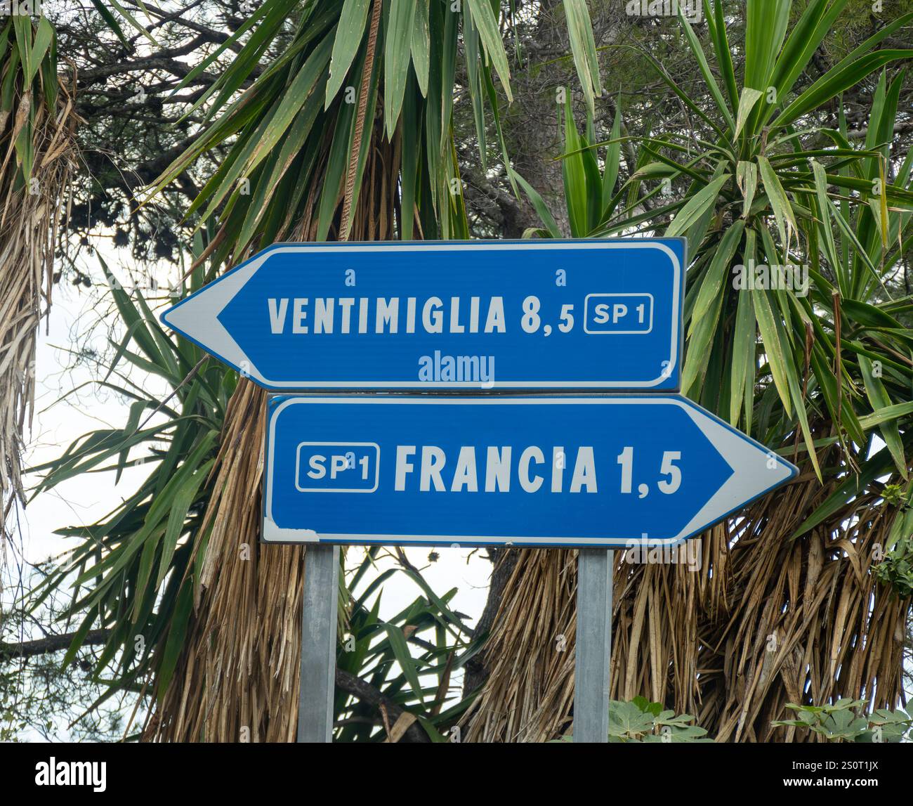 Driving car or family camper on free on Cote d'azur, French Riviera in ...