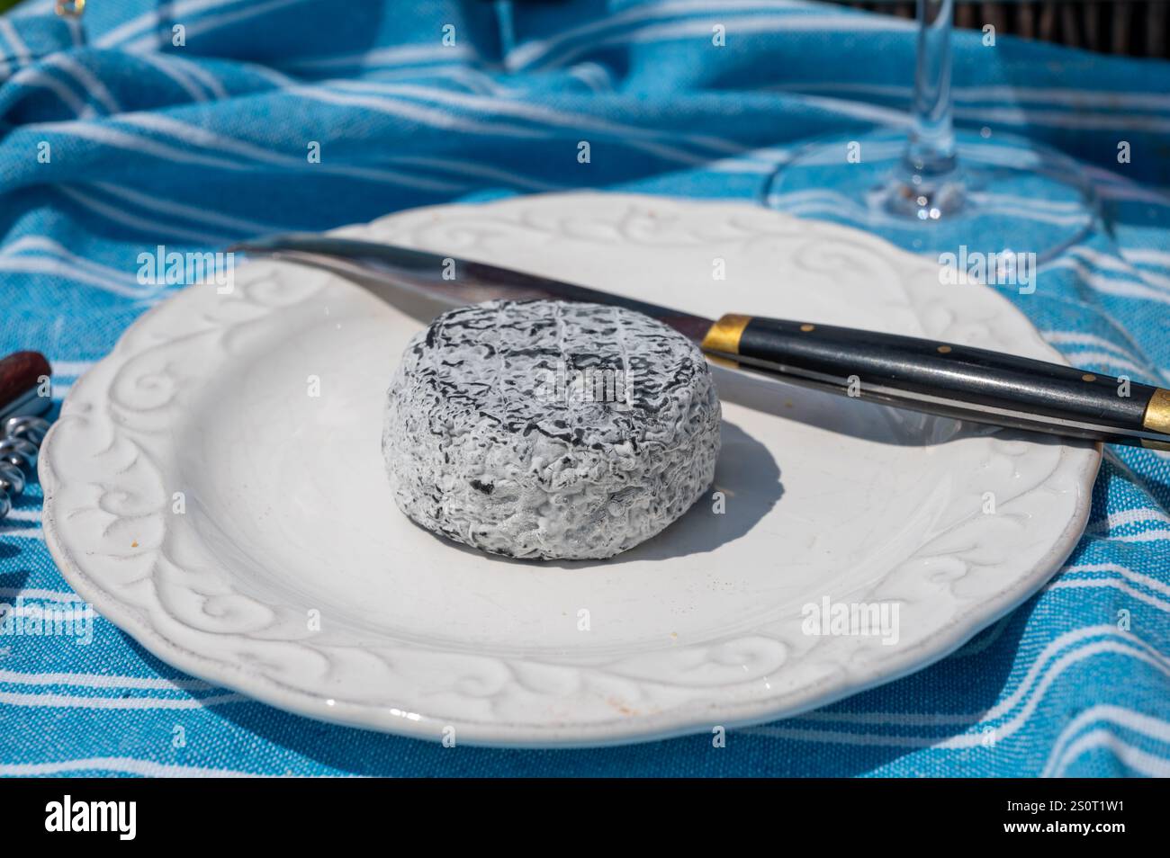 Picnic with cheese, French Cendre Lait cru Chevre black cheese made ...
