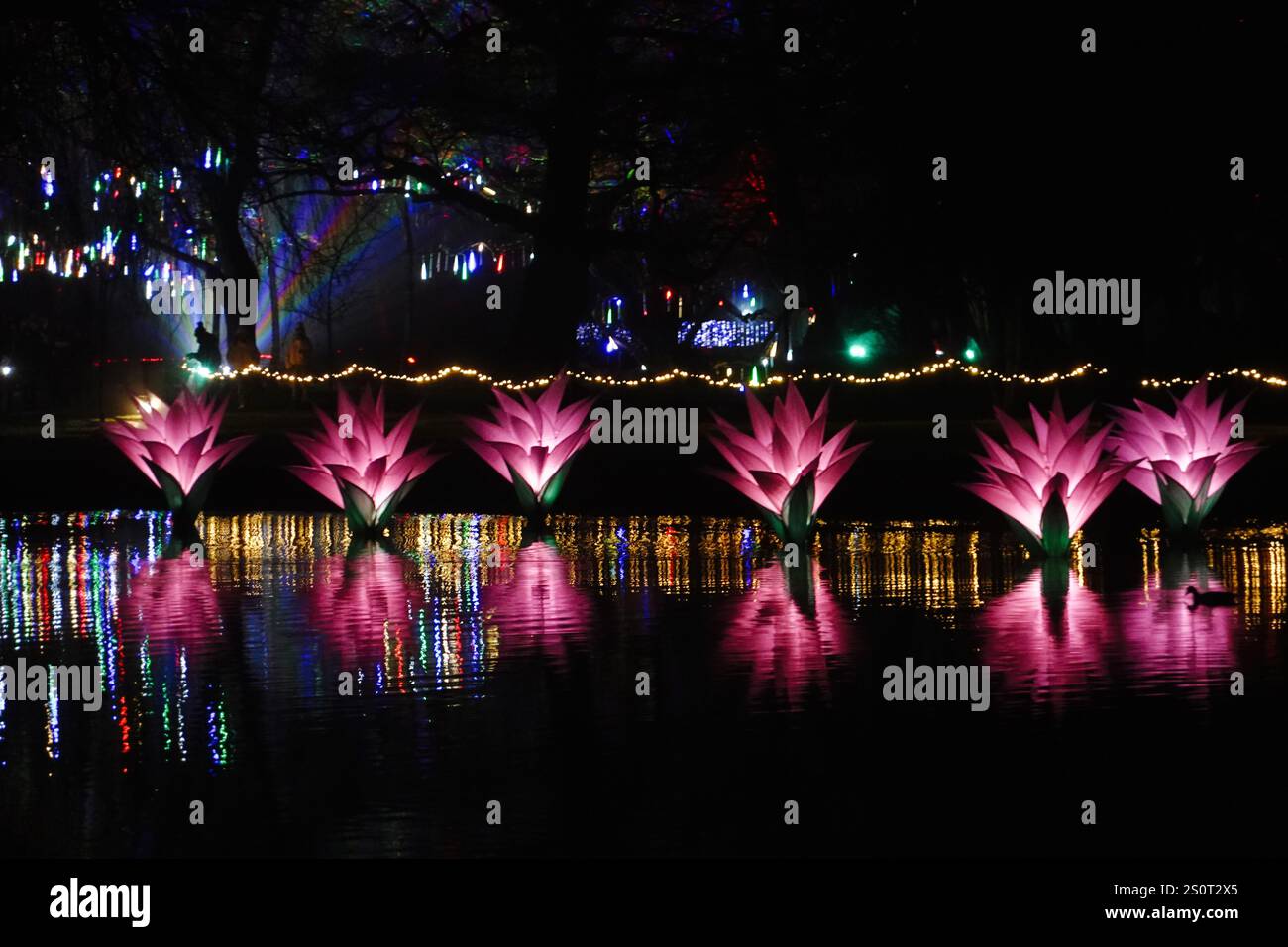 Christmas Lights at Leeds Castle Stock Photo - Alamy
