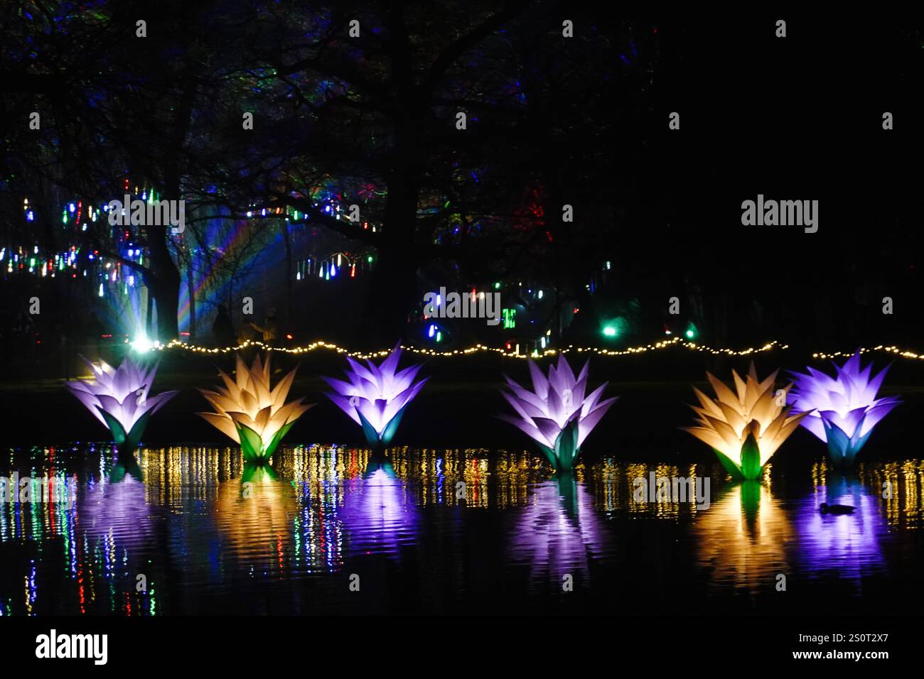 Christmas Lights at Leeds Castle Stock Photo - Alamy