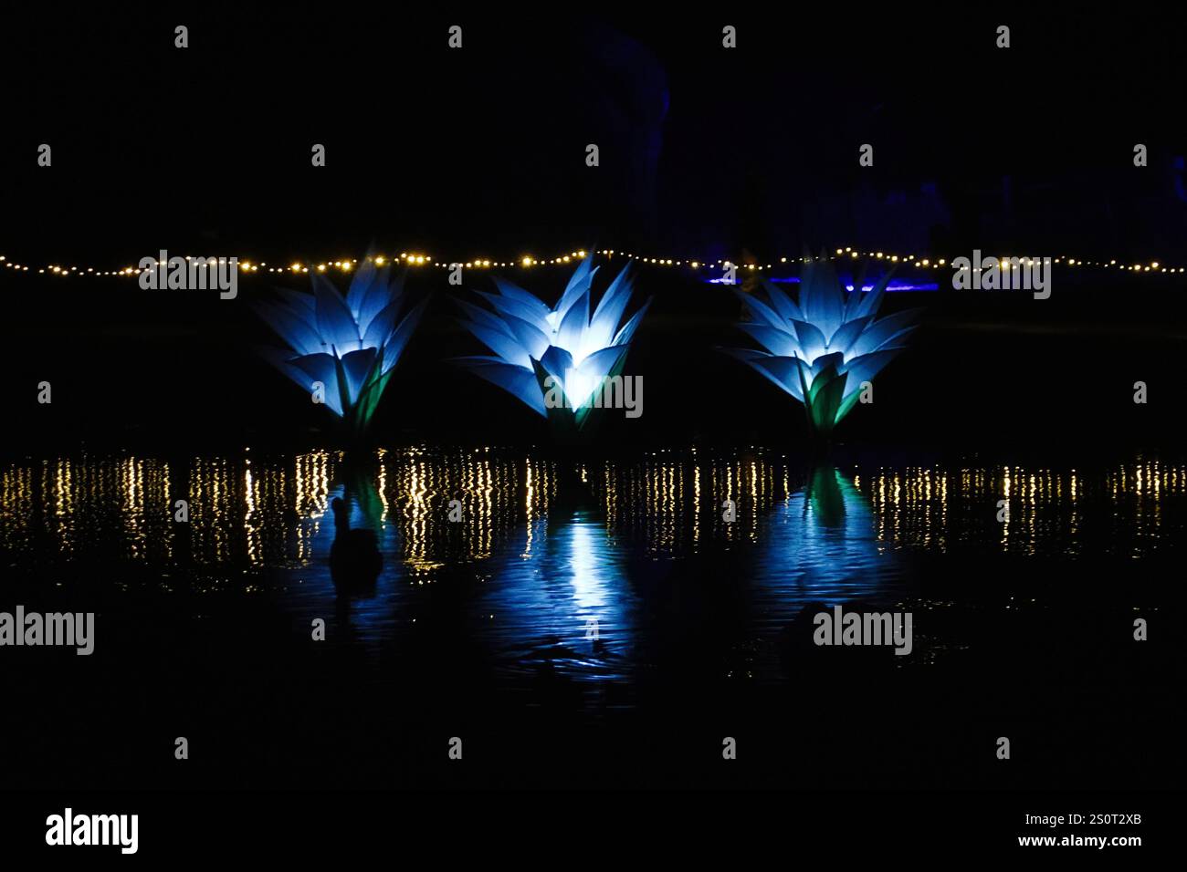 Christmas Lights at Leeds Castle Stock Photo - Alamy