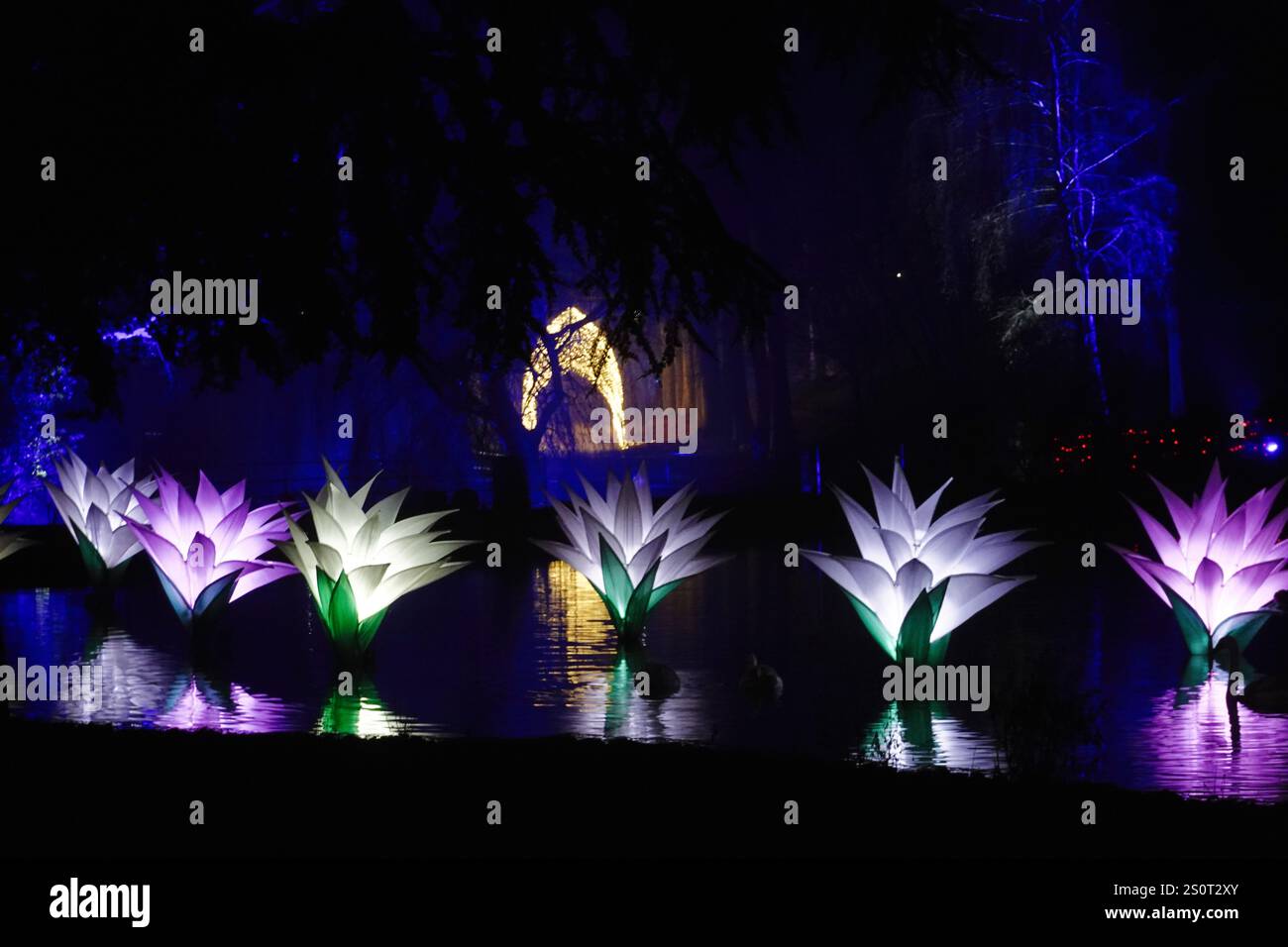Christmas Lights at Leeds Castle Stock Photo - Alamy