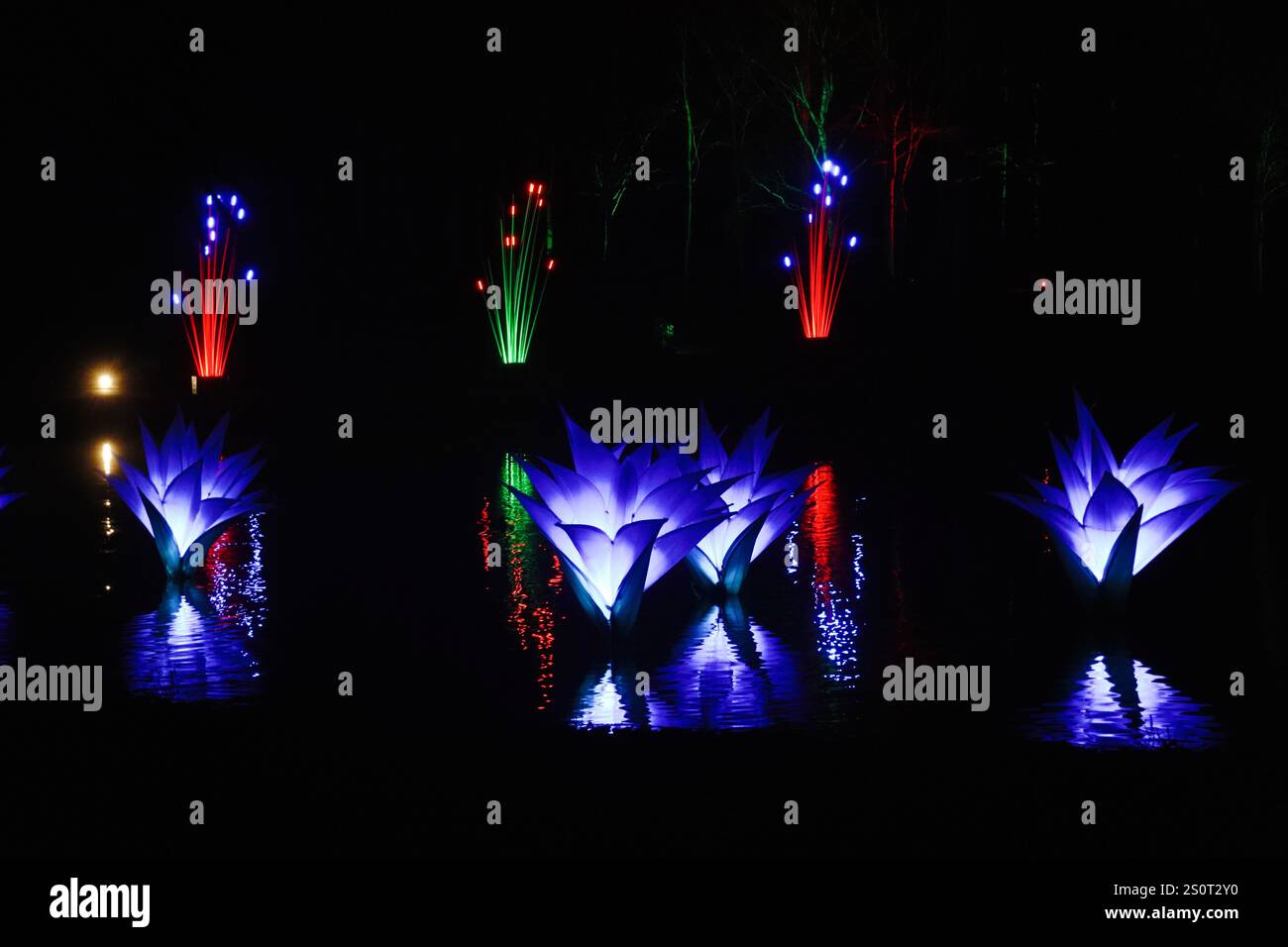 Christmas Lights at Leeds Castle Stock Photo - Alamy