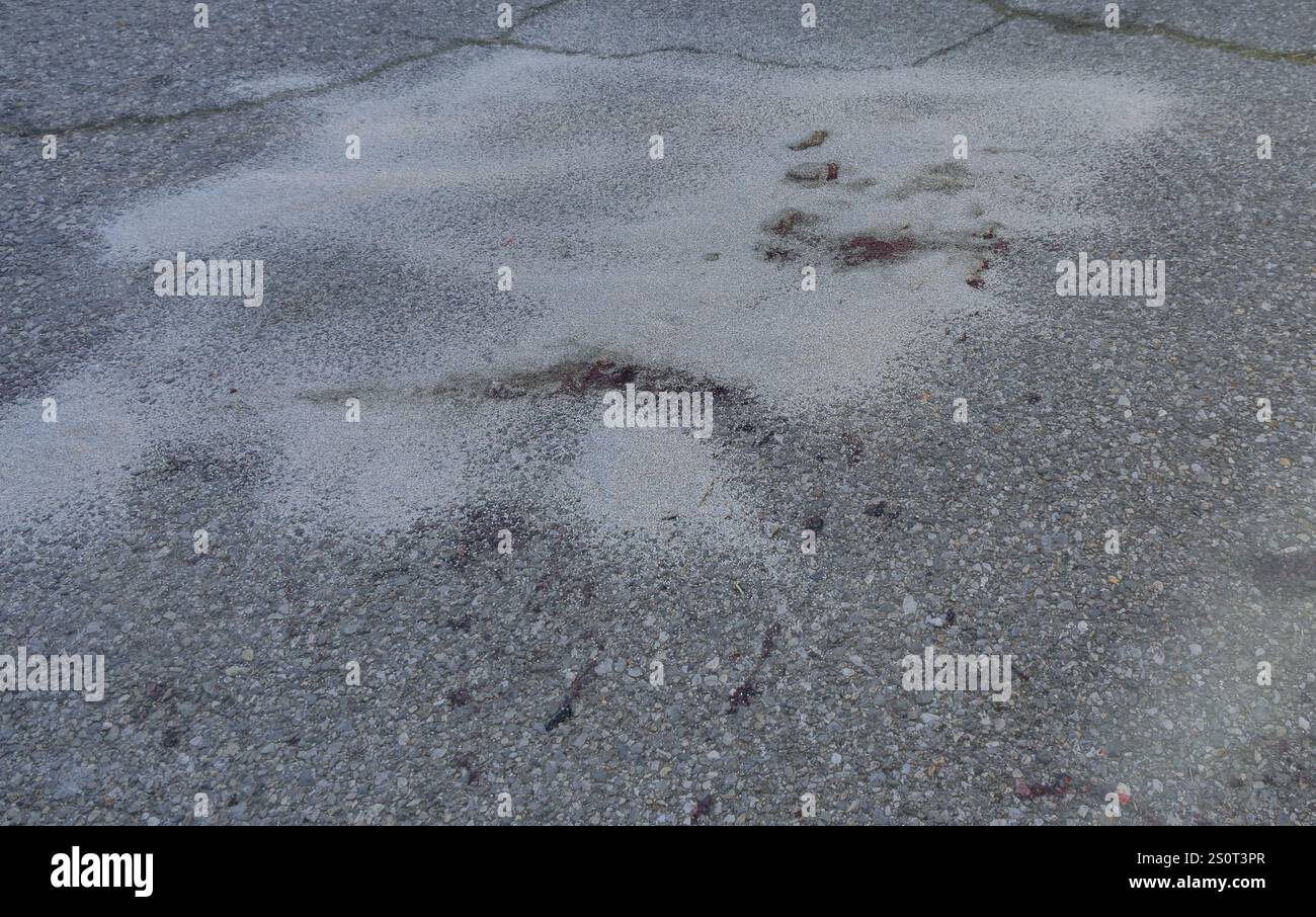 Pontirolo home where Roberto Guerrisi was murdered. The uncle of the ...
