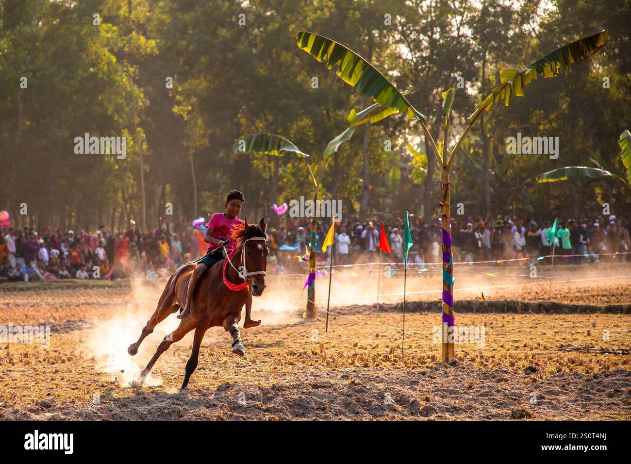 December 28, 2024, Tangail, Ghatail, Bangladesh: A traditional horse ...