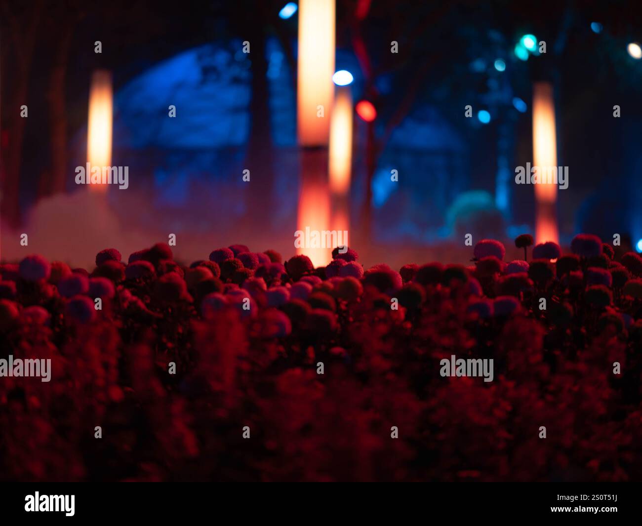 Light and sound show and colorful flower garden decoration at the ASEAN ...