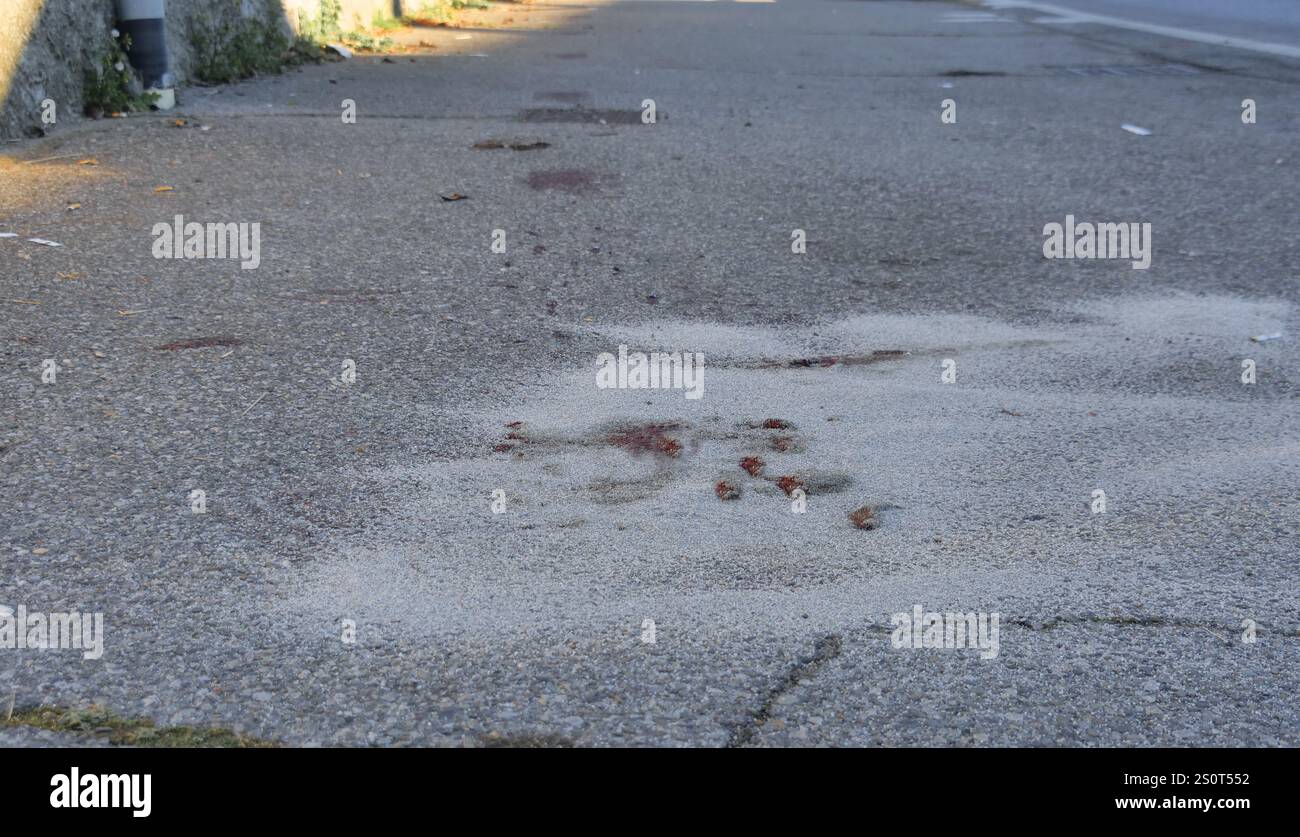 Bridge, Italy. 29th Dec, 2024. Pontirolo home where Roberto Guerrisi ...