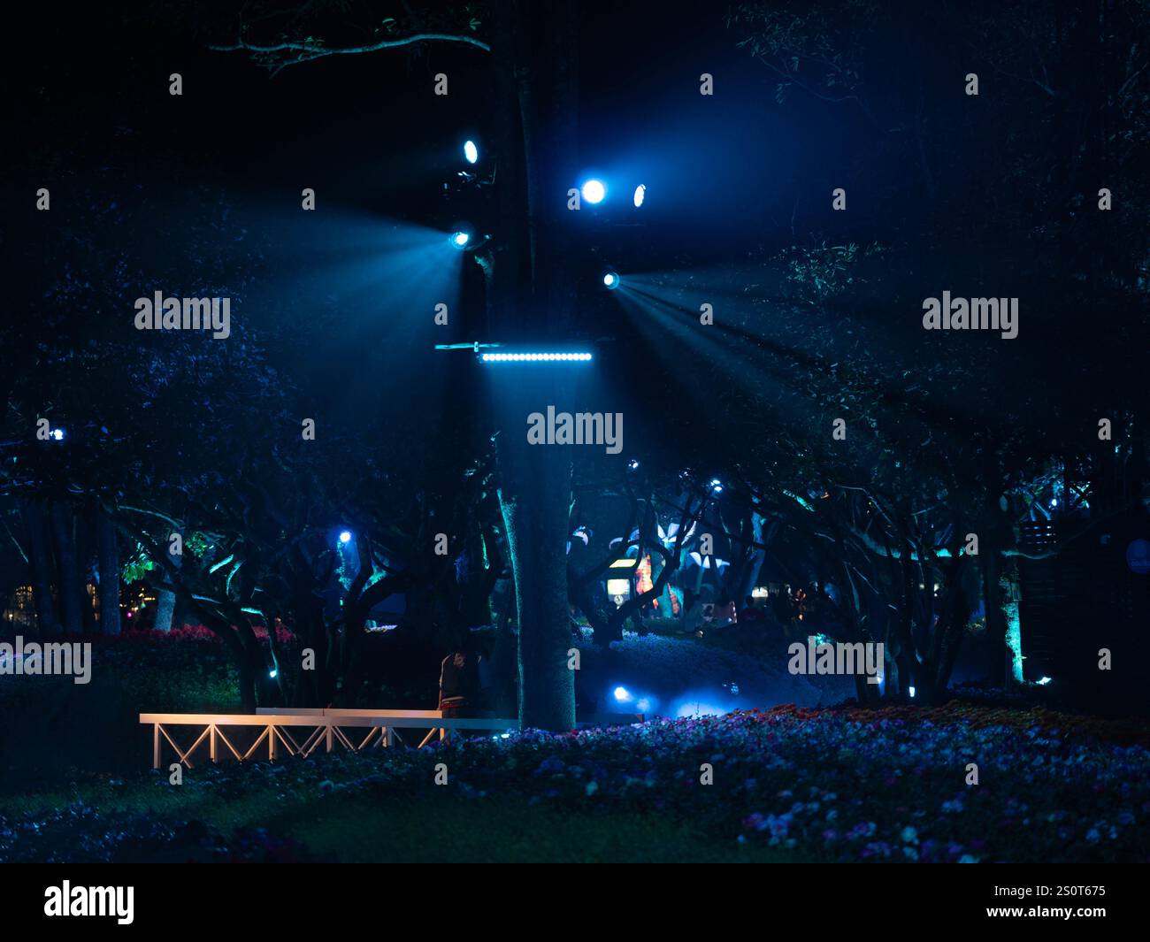 Light and sound show and colorful flower garden decoration at the ASEAN ...