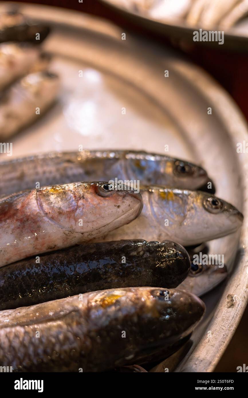 "A vibrant fish market in Rasht, Gilan Province, Iran. Freshly caught ...