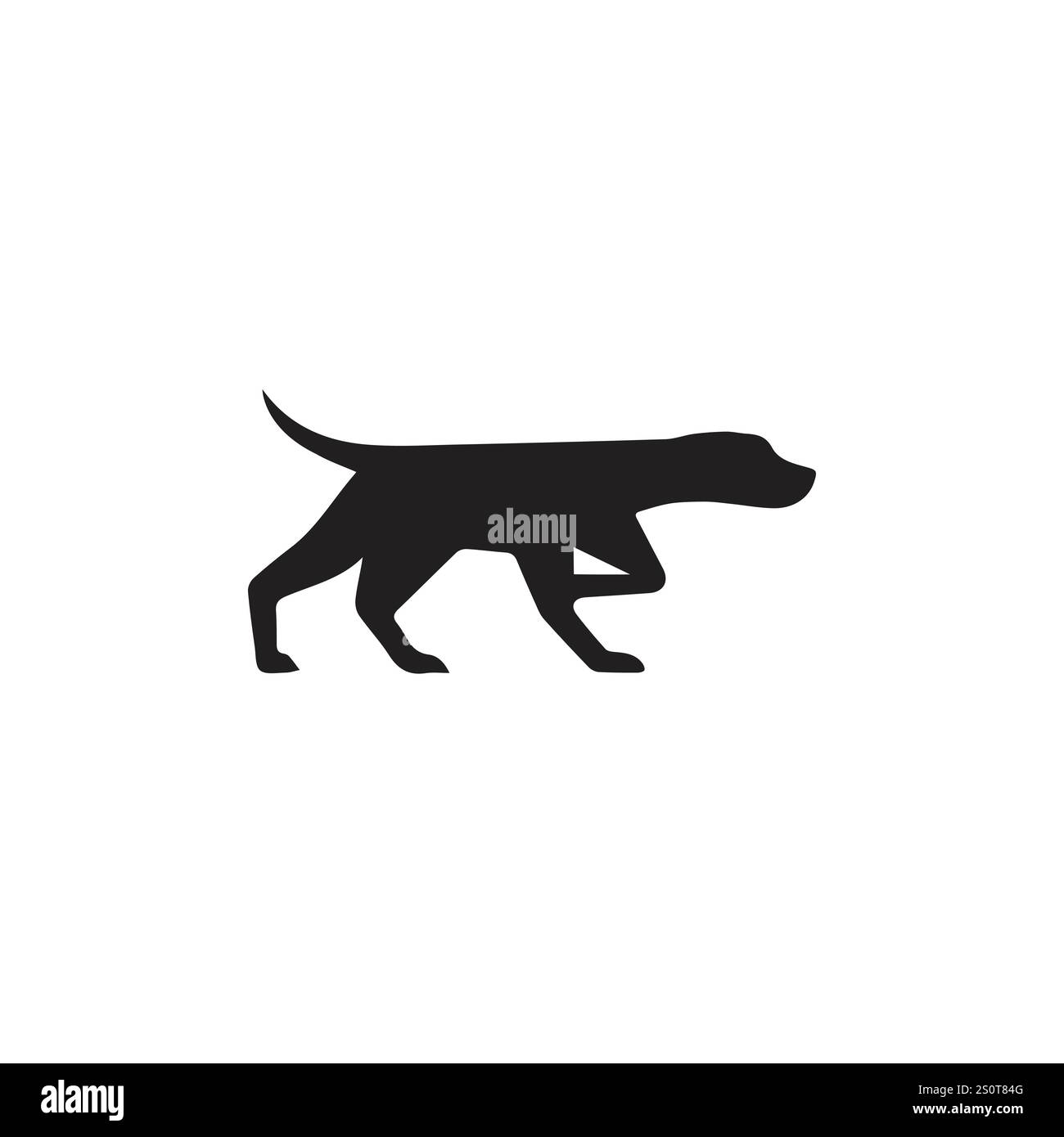 black dog silhouette on white background, Vector silhouette of dog on ...